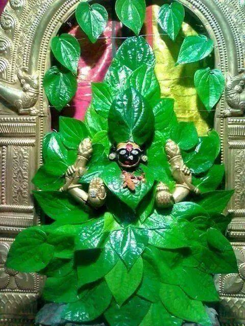 Unique alankaram for ambal – Take off with Natarajan